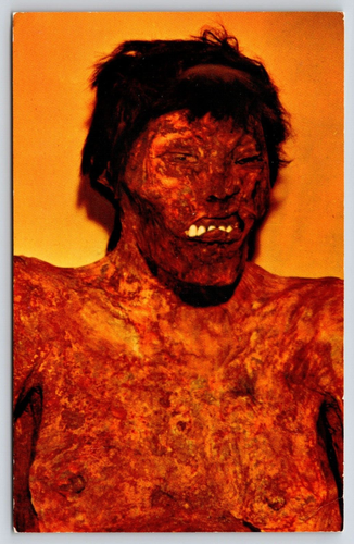 Mesa Verde Museum Esther Basket Maker Morbid Deceased Colorado CO ...