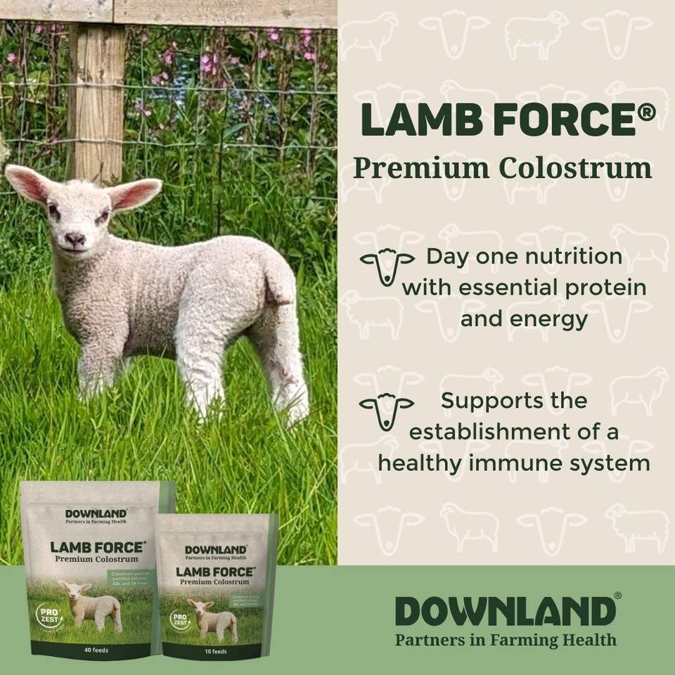 Lamb Force Premium Colostrum 250g Lambing essential 10 feeds | eBay UK