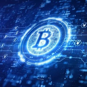 Crypto Wallet Guard | eBay Stores