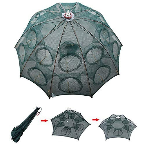 Foldable Fishing Bait Trap Cast Net Cage Cast Dip Cage Shrimp Minnows ...