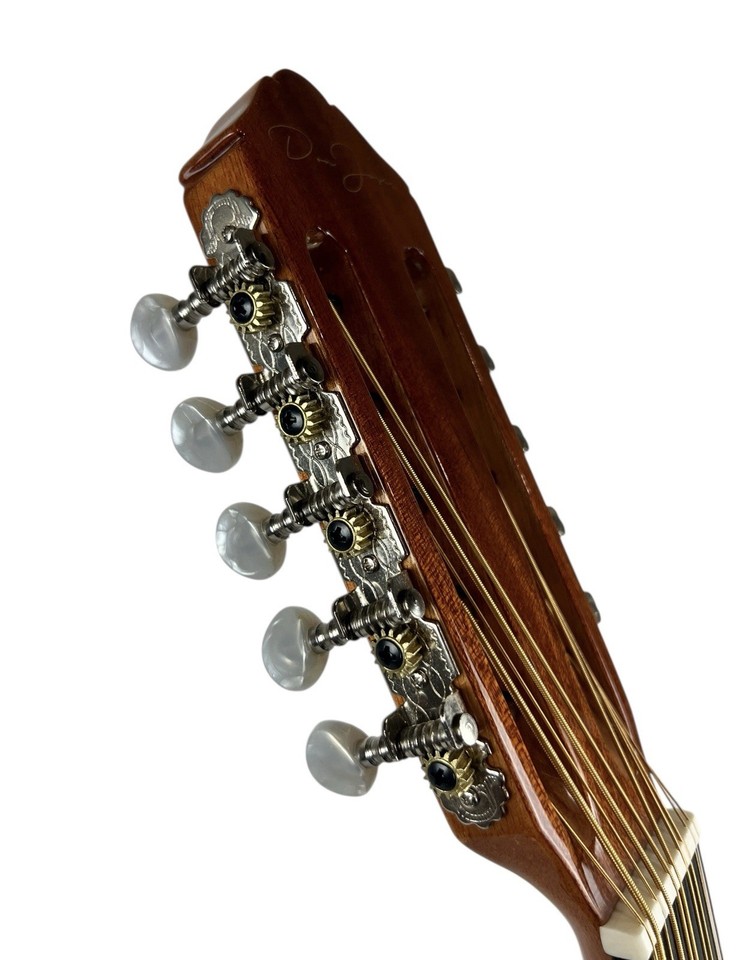 Don José Bajo Quinto 10 String Acoustic/Electric Guitar | eBay