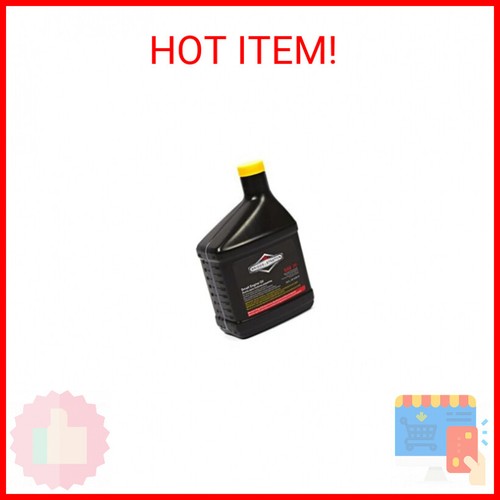 Briggs & Stratton 100005 SAE 30W Engine Oil - 18 Oz | eBay