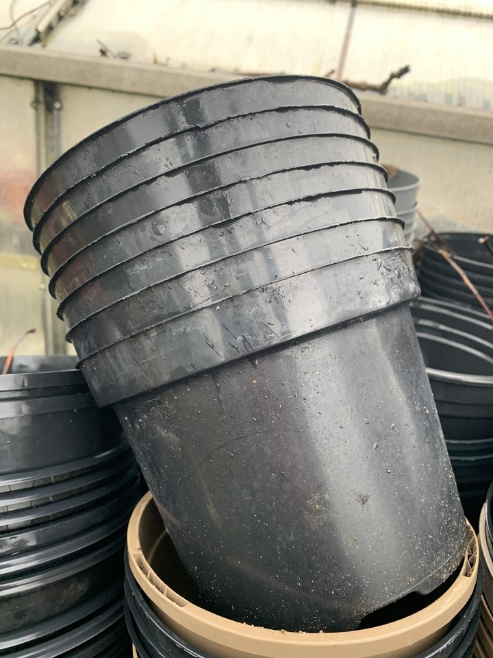 45x Black 3 Litre 3L Plastic Plant Flower Nursery Garden Pots -Used ...