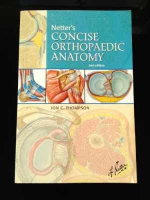 Netter's Concise Orthopaedic Anatomy - Paperback, by Thompson MD Jon ...