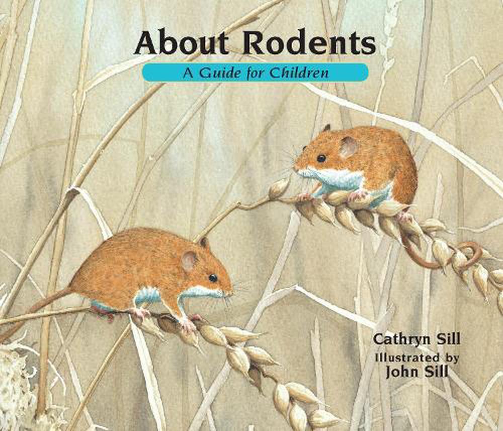 About Rodents: A Guide for Children by Cathryn Sill (English) Paperback ...