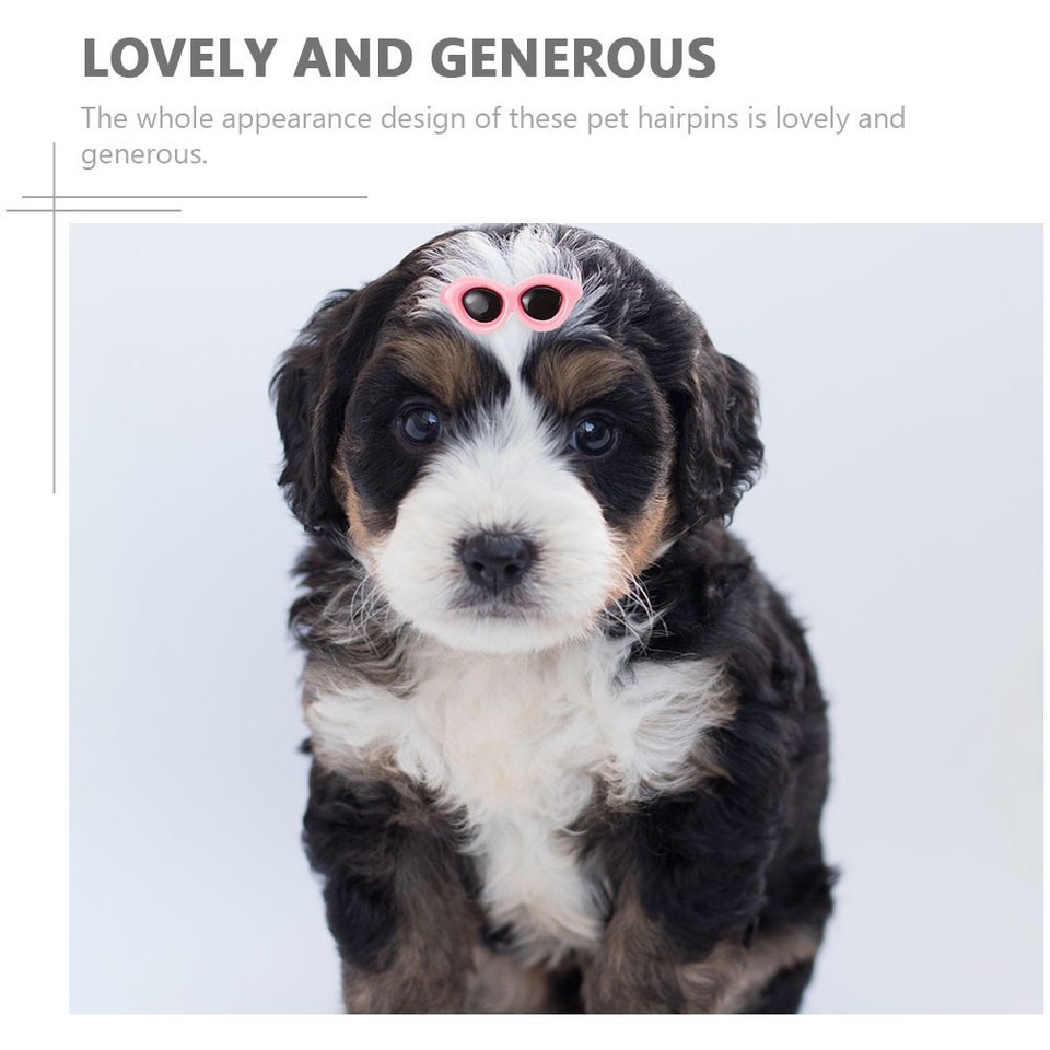 12Pcs Sunglasses Hairpins Lovely Dog Hairpins Plastic Pet Headdress Pet ...