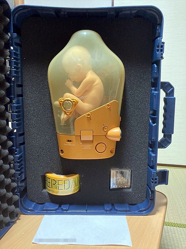 Death Stranding Collector's Edition Baby BB Pod Replica Figure Tape ...