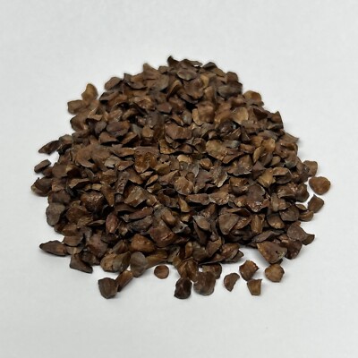 Monterey Cypress Bonsai Tree Seed Pack Cupressus Macrocarpa | eBay