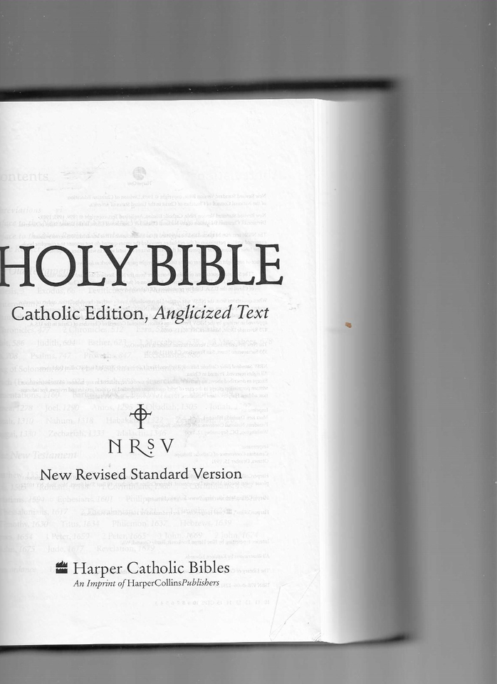 Harper NRSV Holy Bible Catholic Edition, Anglicized Text Two-Tone Brown ...