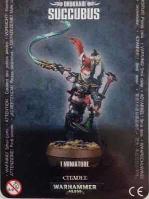 Succubus - Drukhari / Dark Eldar - Warhammer 40k ~ 0$ US TARIFFS ~ | eBay
