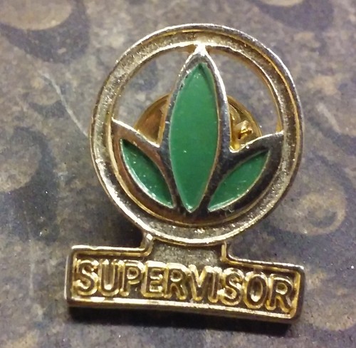 Herbalife Supervisor pin badge | eBay