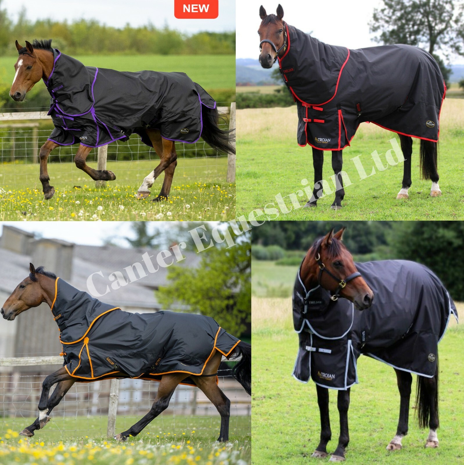 Gallop TROJAN Dual Turnout Horse Rug Detachable Neck 0g, 50g, 100g ...
