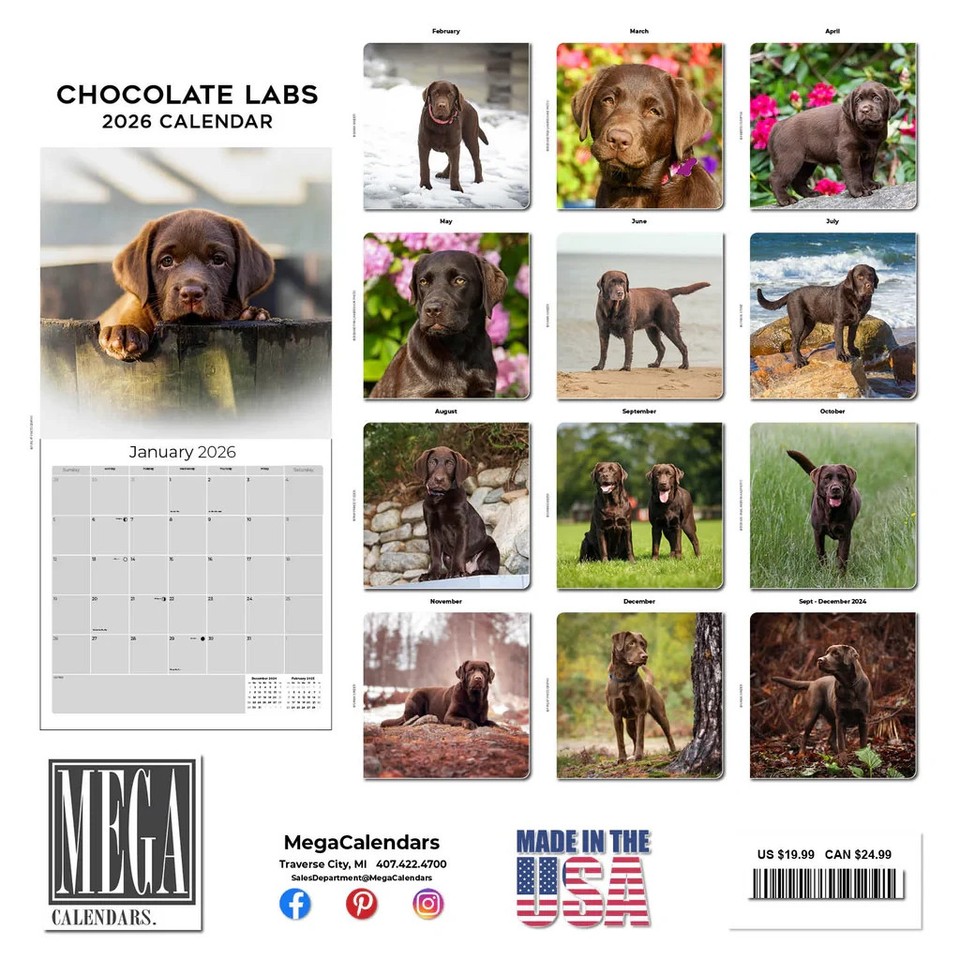 Chocolate LABRADOR RETRIEVER Wall Calendar 2026 DOG PET Animal Lover ...