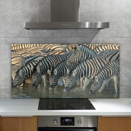 Glass Kitchen Splashback Tile Cooker Panel Wildlife Zebras in Africa ...