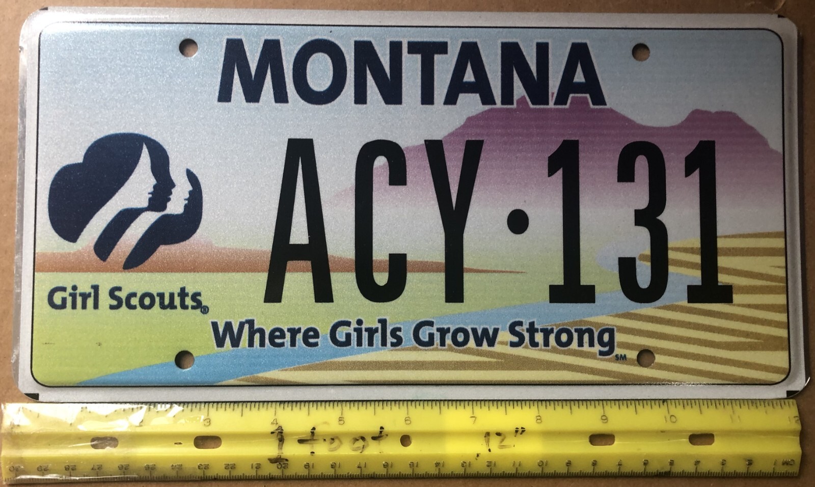 *License Plate, Montana, Girl Scouts, ACY - 131 | eBay