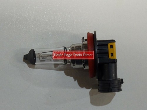 Genuine Hyundai New Halogen H8 Headlight Globe 12V 35W suits i30 ...