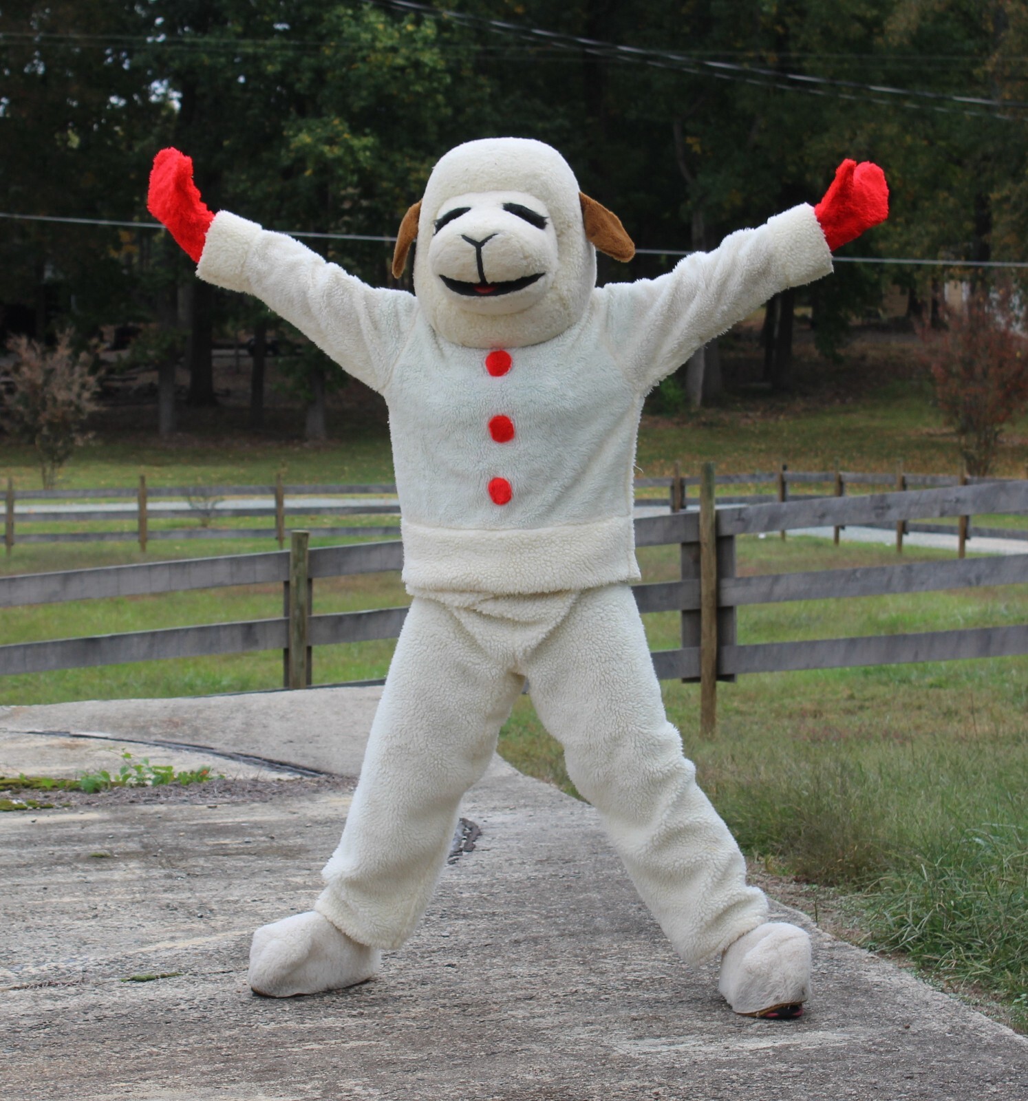 Vintage RARE Lamb Chop Mascot Costume (Some Damage) OSFM Suit HTF Full ...