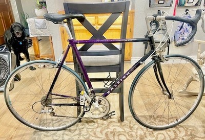 Vintage Raleigh Technium 600 Road Bike – Reynolds 531 / Shimano 105 ...