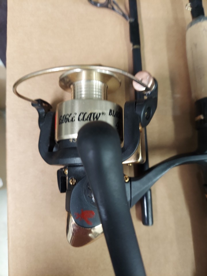 Eagle Claw Black Eagle Rod & 440 Reel | eBay