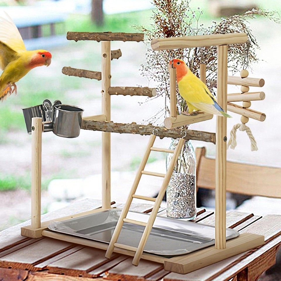 Bird Playground Bird Perch Platform Stand Swing Chew Exercise Toy ...