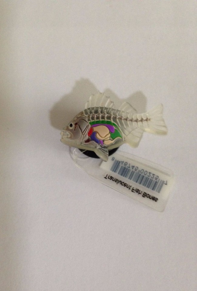 FISH JIBBITZ FISH SHOE CHARMS GOLDFISH IN BOWL JIBBITZ TRANSLUCENT FISH ...