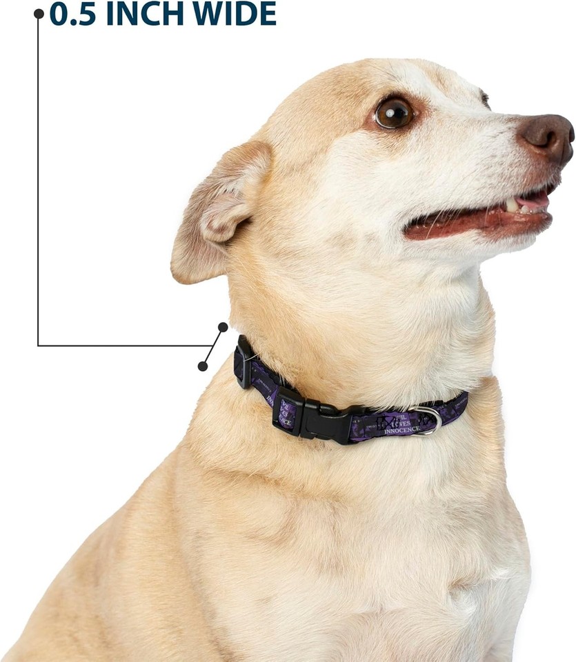 Warner Bros. Horror Movies Pet Collar, Dog Collar Plastic Buckle, The ...