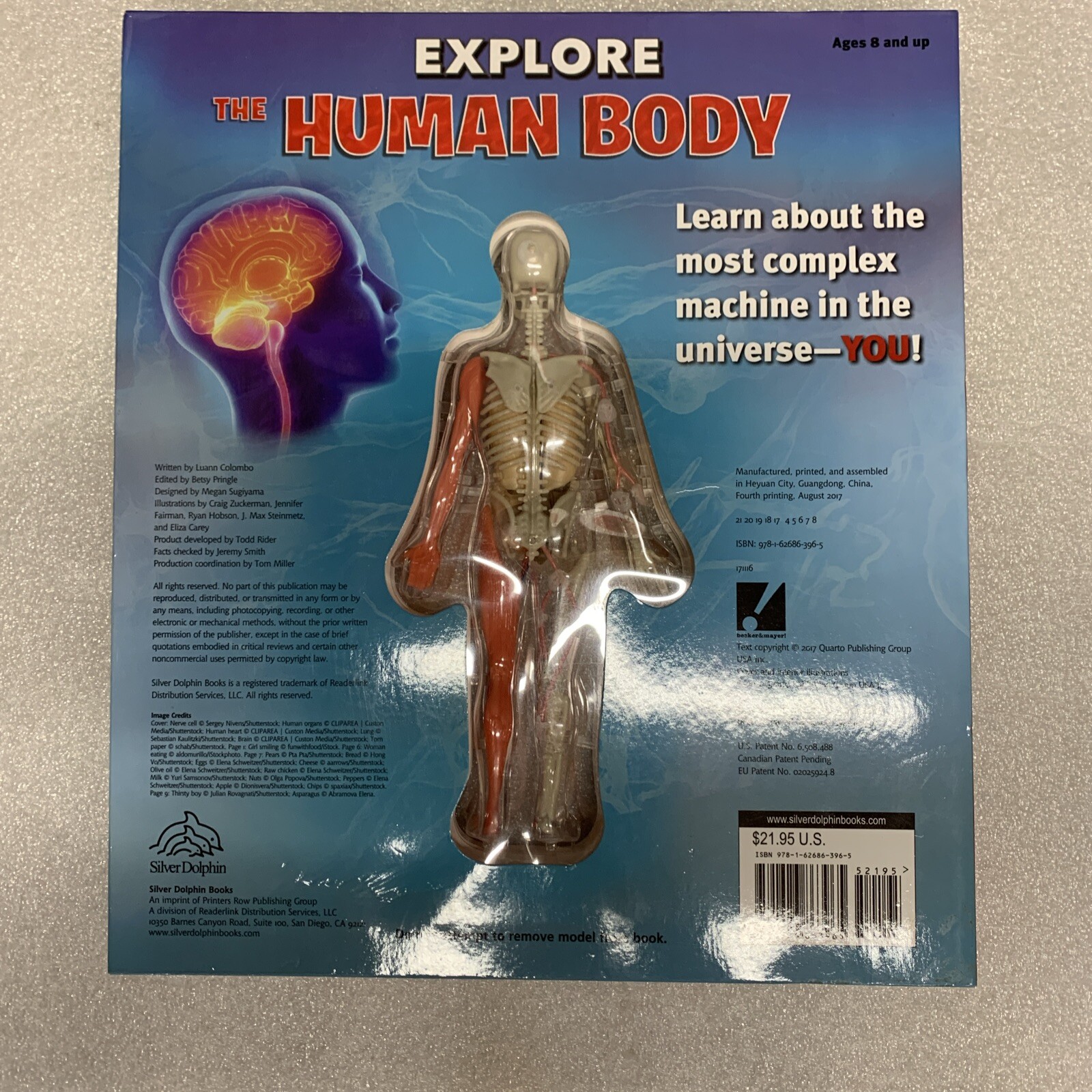 Explore the Human Body by Luann Colombo (2016, Trade Paperback) for ...