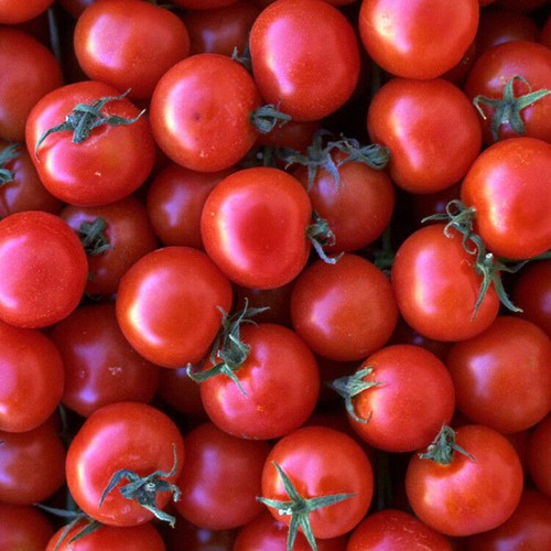 Tomate Reisentraube Cerise 1000 Graines BIO / NON OGM | eBay