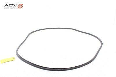 2015 - 2019 BMW X6 F16 FRONT RIGHT PASSENGER SIDE DOOR WEATHERSTRIP ...