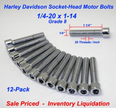 Harley Davidson 12-Pack Show-Quality 1/4-20 x 1-1/4 Mirror Chromed ...