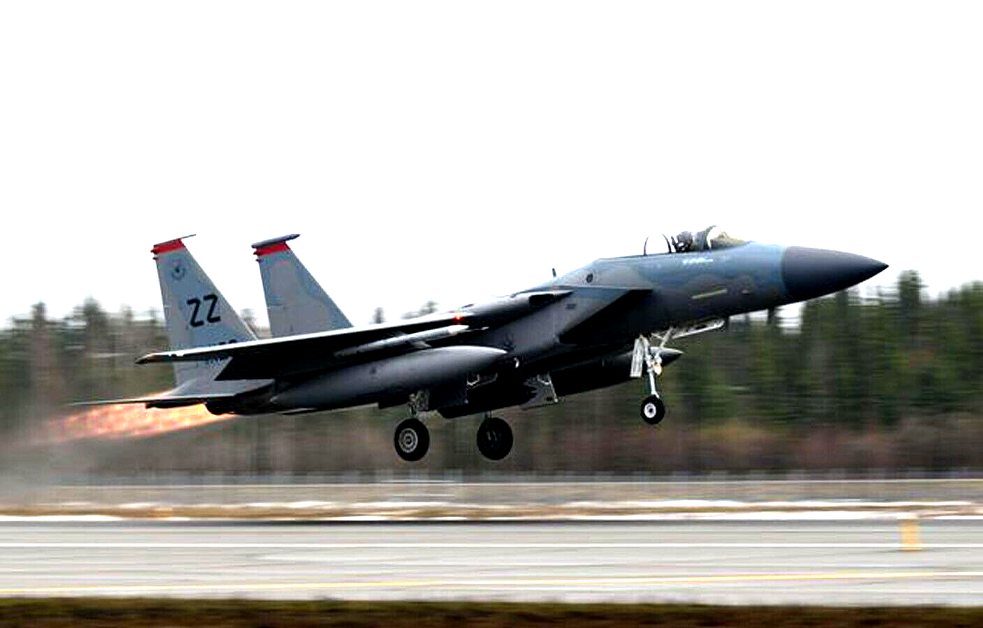 USAF 67th FIGHTER SQUADRON -67 FS-F-15 Eagle-FIGHTING COCKS- VEL ...