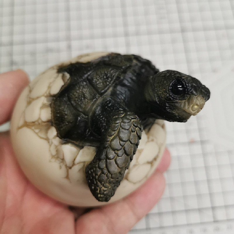Newborn Baby Turtle