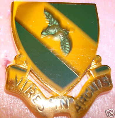 CREST, DI, 800TH MILITARY POLICE BRIGADE | eBay