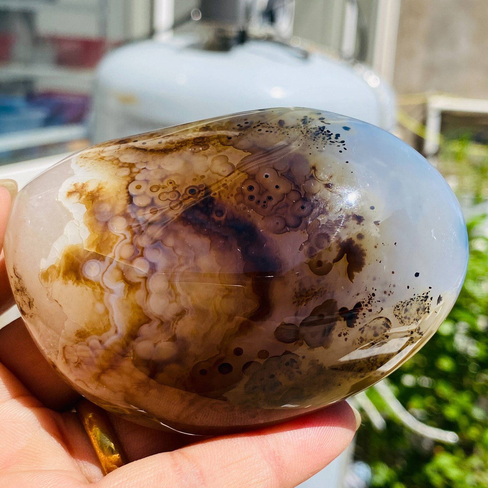 248g Dendritic Chalcedony Quartz Agate Crystal Palm Stone Natural ...