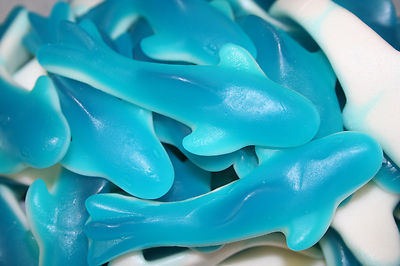 Blue Raspberry Gummy Sharks 5 Pounds Bulk Candy Blue White FREE ...