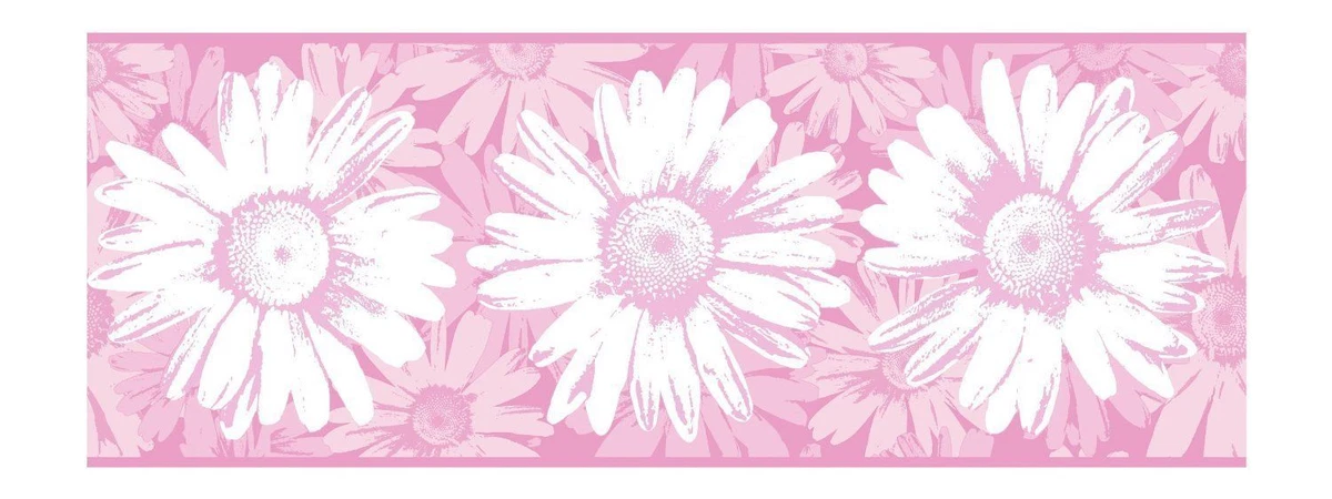 Pink Daisy Border