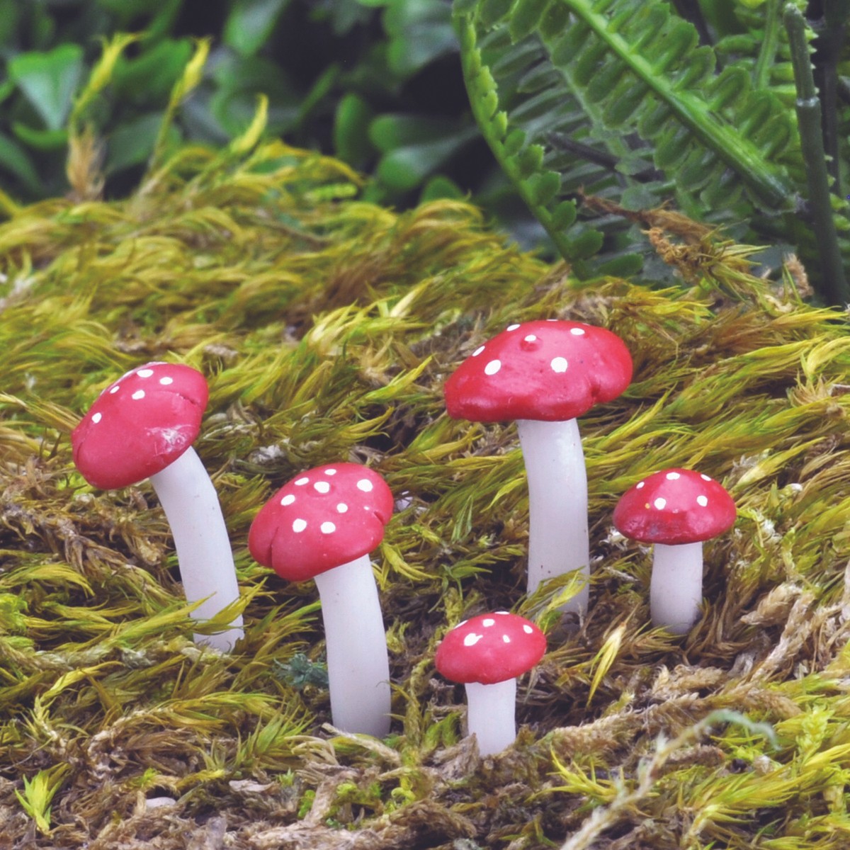 Garden Toadstools | Fasci Garden