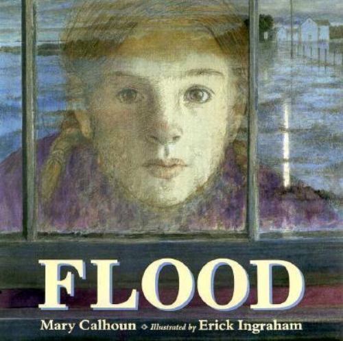Flood by Mary Calhoun (1997, Hardcover) for sale online | eBay