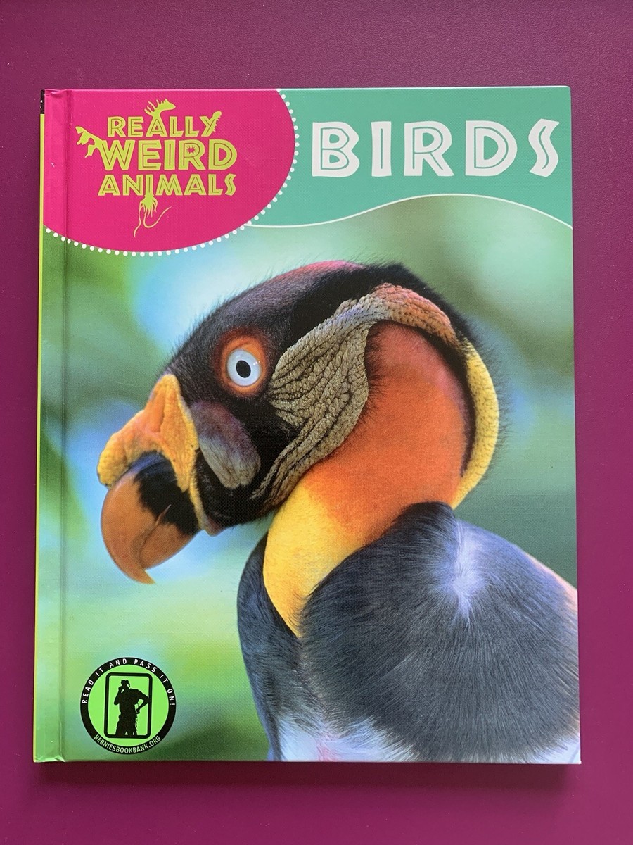 Real Weird Animals 22 Unusual Animals You Probably Didn't Know Exist