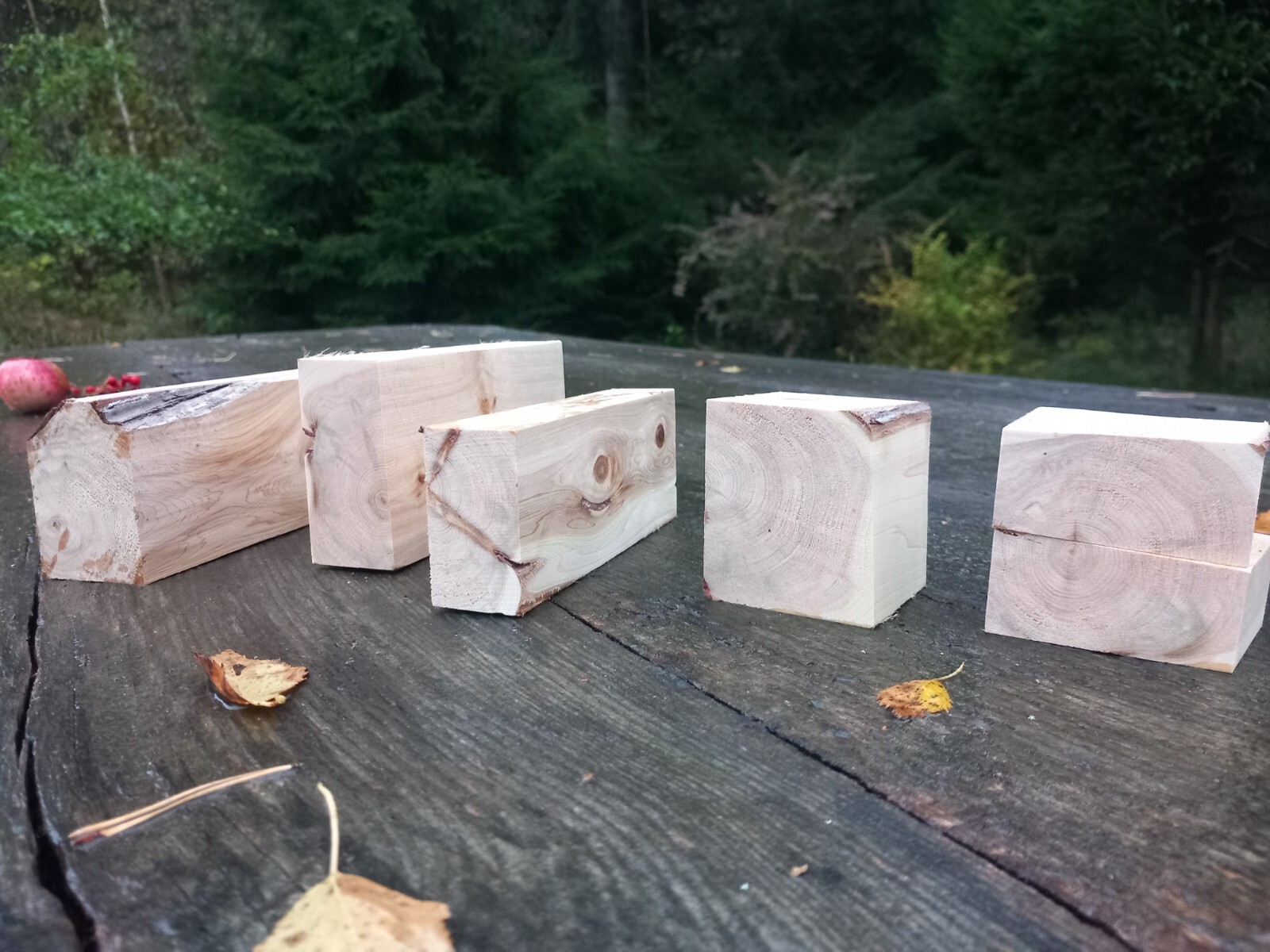 Juniper Blocks Whittling, Carving N-Europe Juniper Wood, Slabs, Planks ...