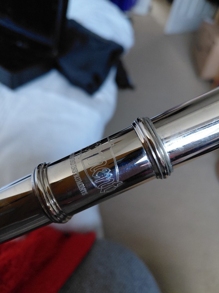 Flute Musical Instrument for Beginners | eBay UK