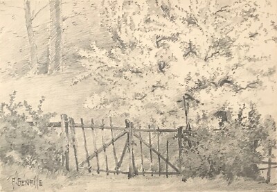 Alexandre genaille - Drawing Original - Pencil - Bottom Of Jardin ...