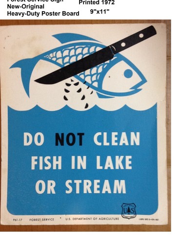 Vintage US Forest Service Paper SIGNS National Forest Sign 9x11 | eBay