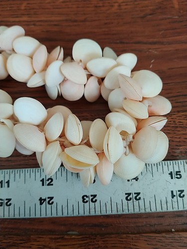 Vintage Old String Strand Of Shells Women Lady Old Accessory Jewelry ...