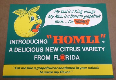 ORIGINAL VINTAGE FLORIDA CITRUS ADVERTISING SIGN ANTHROPOMORPHIC HOMLI ...