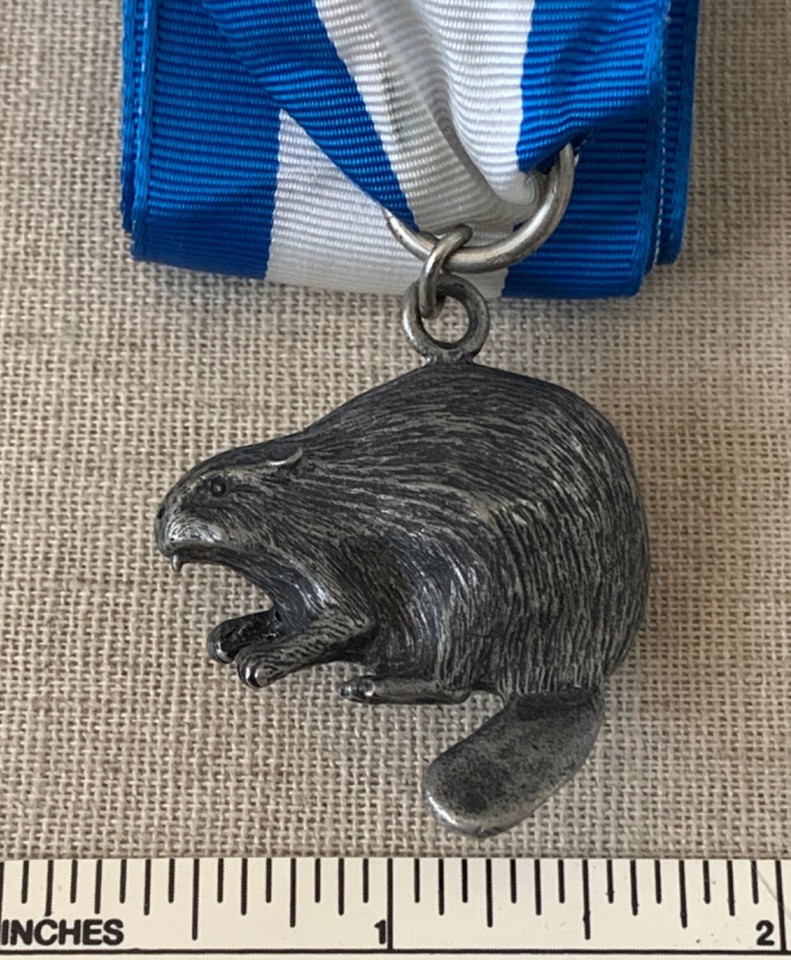 SILVER BEAVER Boy Scouts of America Leader MEDAL Award BSA Scouting ...