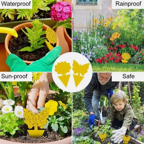 20PCS Yellow Sticky Fly Catching Paper Fruit Fly Insect Aphid Glue ...