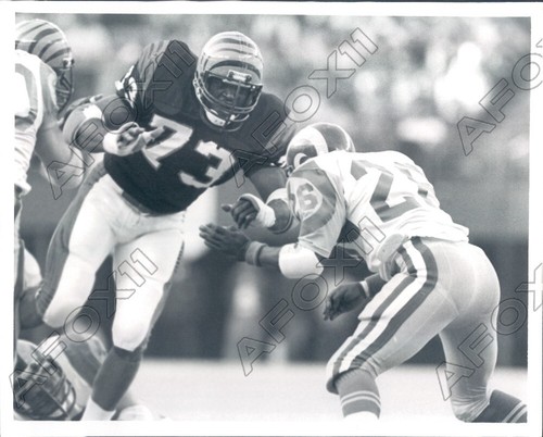1981 Cincinnati Bengals Football Player Eddie Edwards VS Rams Press ...