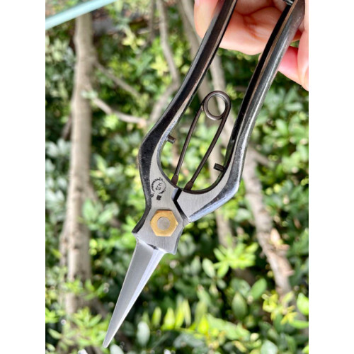 Murahisa Double-edged Bud Cutting Scissors 180mm Leather Stopper LTD ...