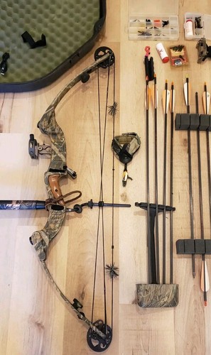 Reflex Bighorn Hunter Compound Bow RH Right Handed Fully Rigged With ...